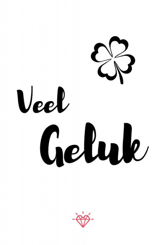 Kaartje Veel Geluk. Kaartje bij Cadeau.